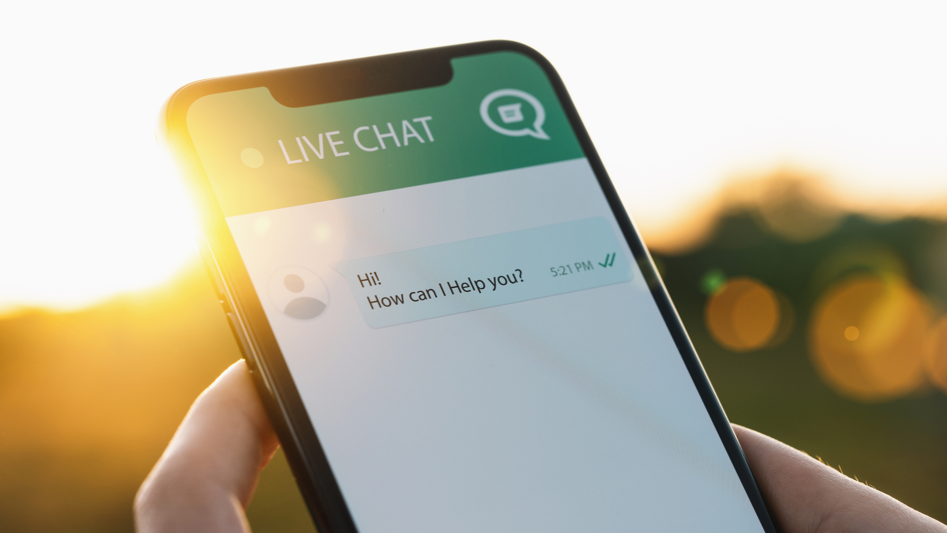 Live Web Chat - LI Web Guy Inc.